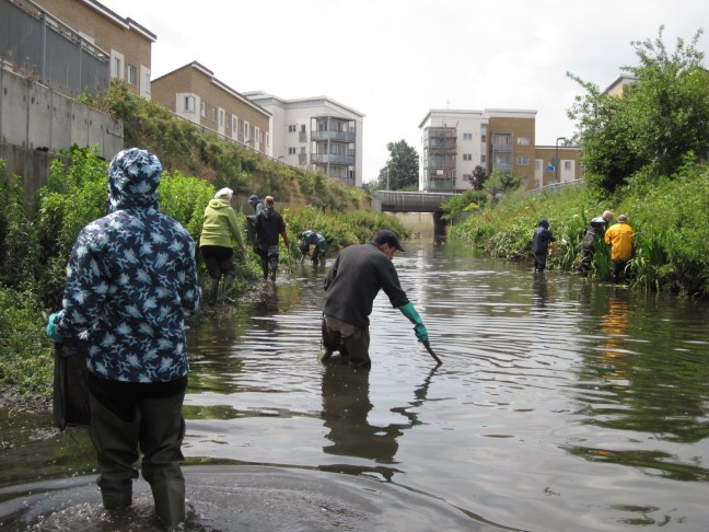 River Volunteering – Nature Conservation Lewisham