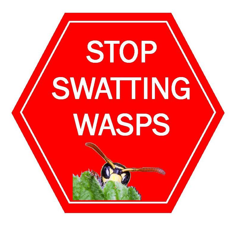 Wonderful Wasps – Stop Swatting Wasps Pledge – Nature Conservation Lewisham