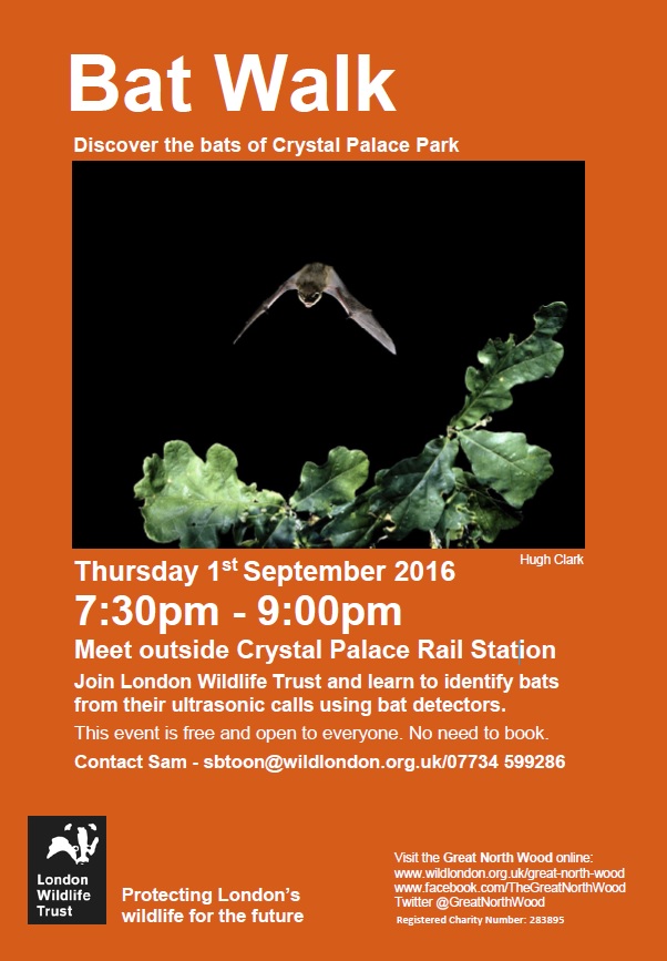 Bat Walk with London Wildlife Trust in Crystal Palace Park – Nature ...