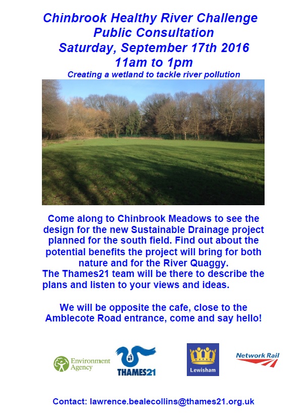 Chinbrook healthy river challenge – Nature Conservation Lewisham