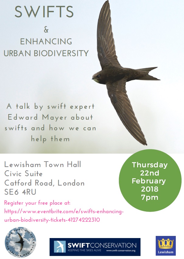 Swifts & Enhancing Urban Biodiversity – Nature Conservation Lewisham