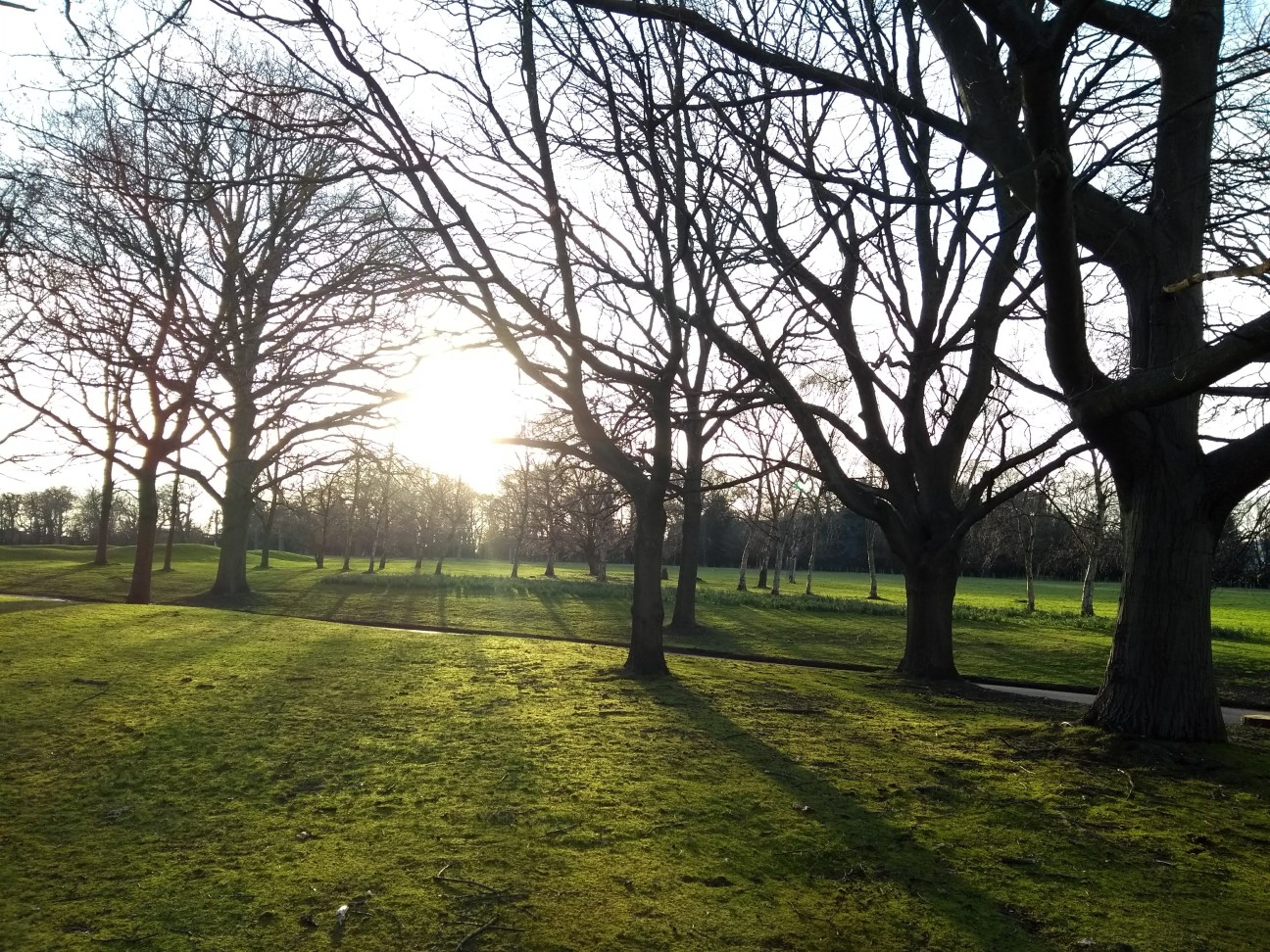 Eastern side of Beckenham Place Park (the Common and Summerhouse Fields ...